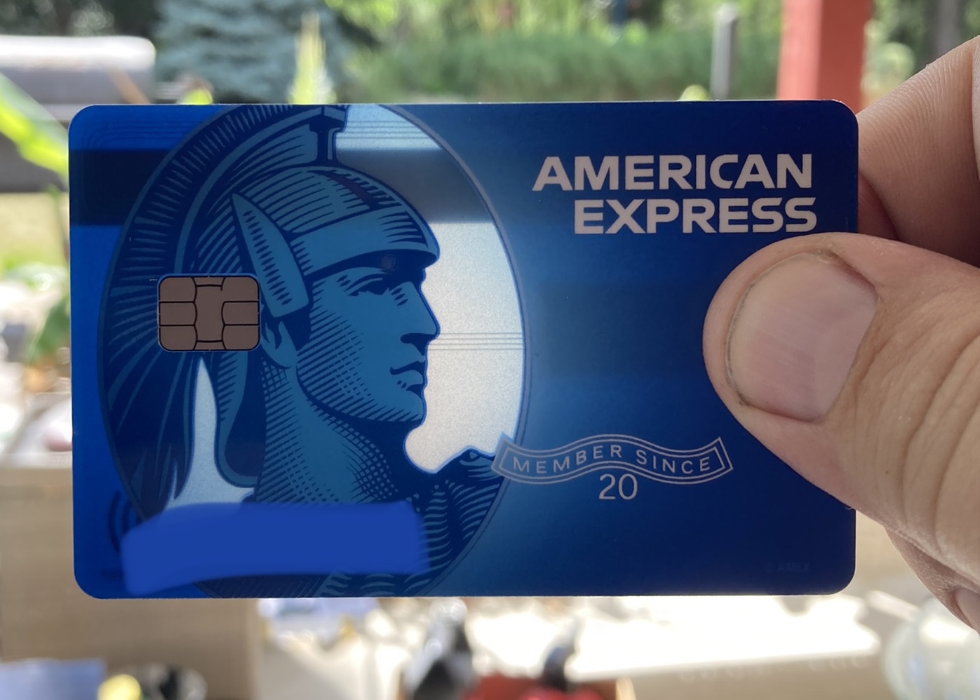 New Blue Cash Everyday Card - myFICO® Forums - 6569161