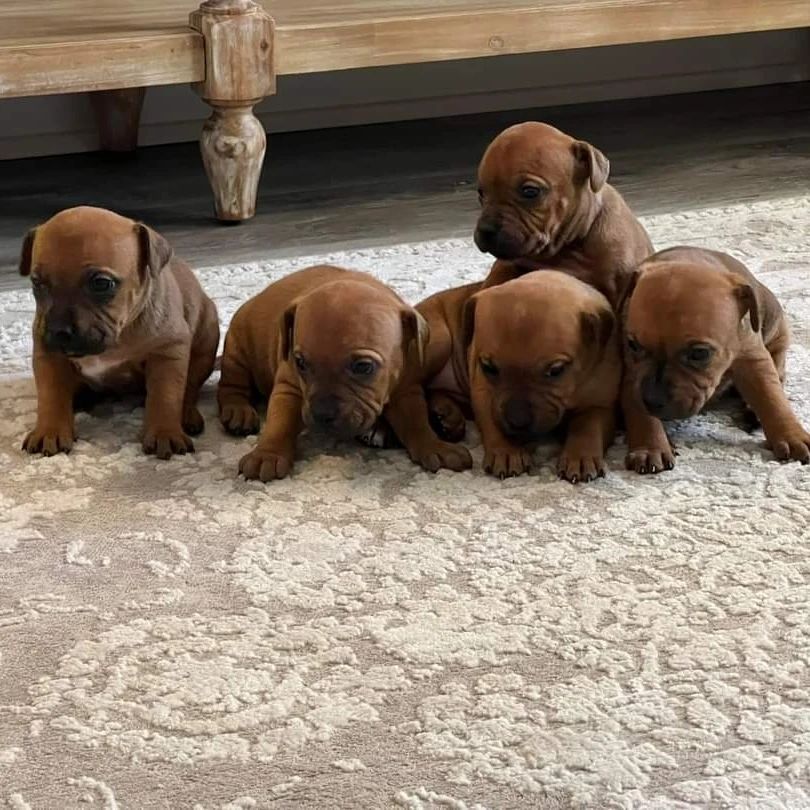 SmorgasBoard Coffee and ? - Page 71 - myFICO® Forums - 6640807